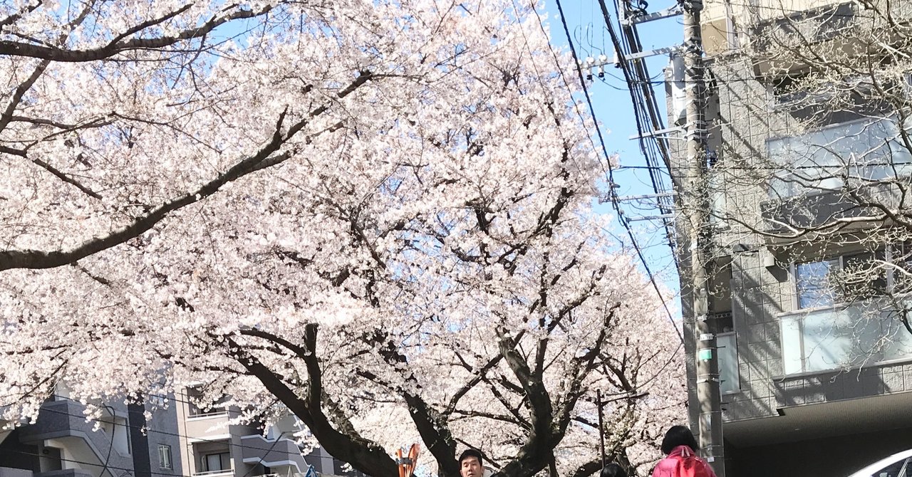 しまおの教習所ネタ｜しましま