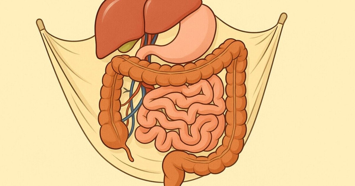 📝【腸を支える“膜”＝"腹膜"】｜cs60セラピストYOUGO(ユーゴ)
