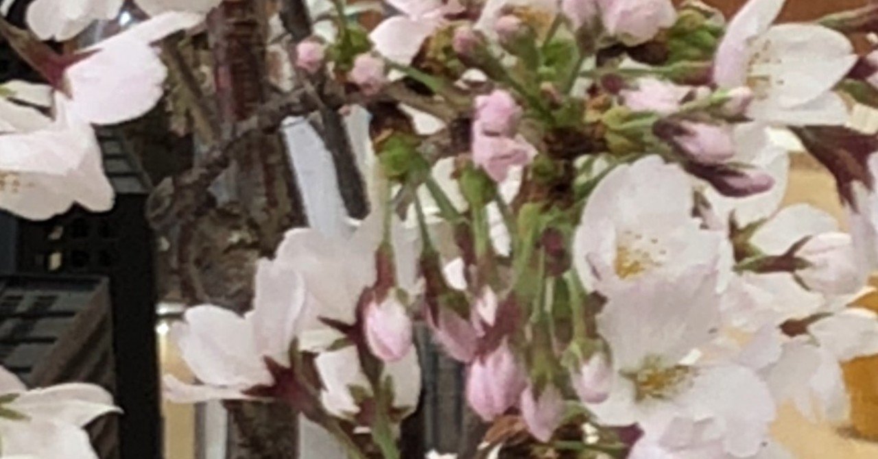 薄桃色の星粒｜みおもと