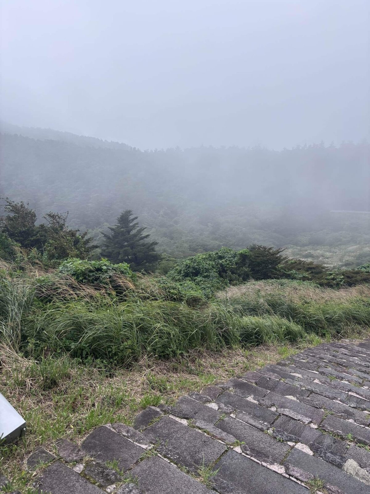 コンデジスナップ、雲仙・島原編｜ma__tsuko