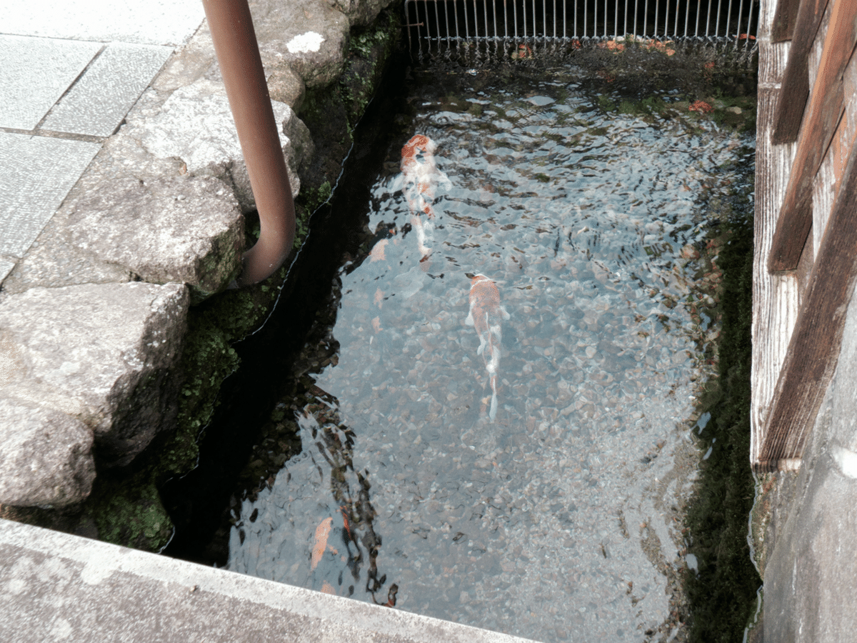 コンデジスナップ、雲仙・島原編｜ma__tsuko