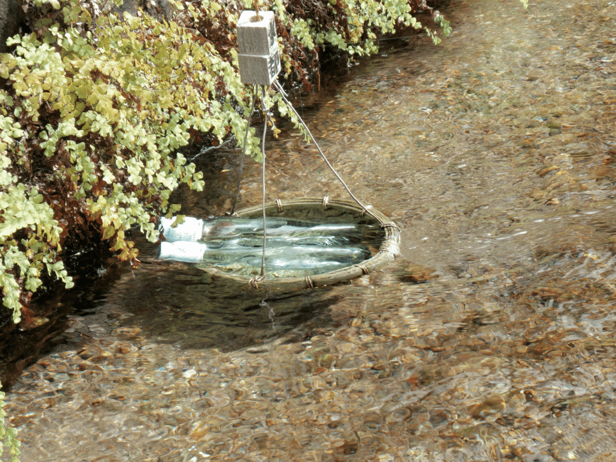 コンデジスナップ、雲仙・島原編｜ma__tsuko