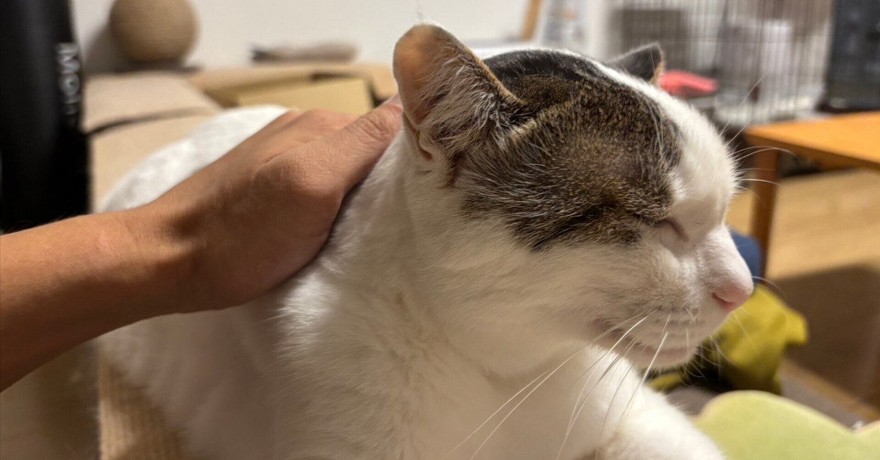 プライベートの過ごし方を整える 【ユタカジン】｜Zakky