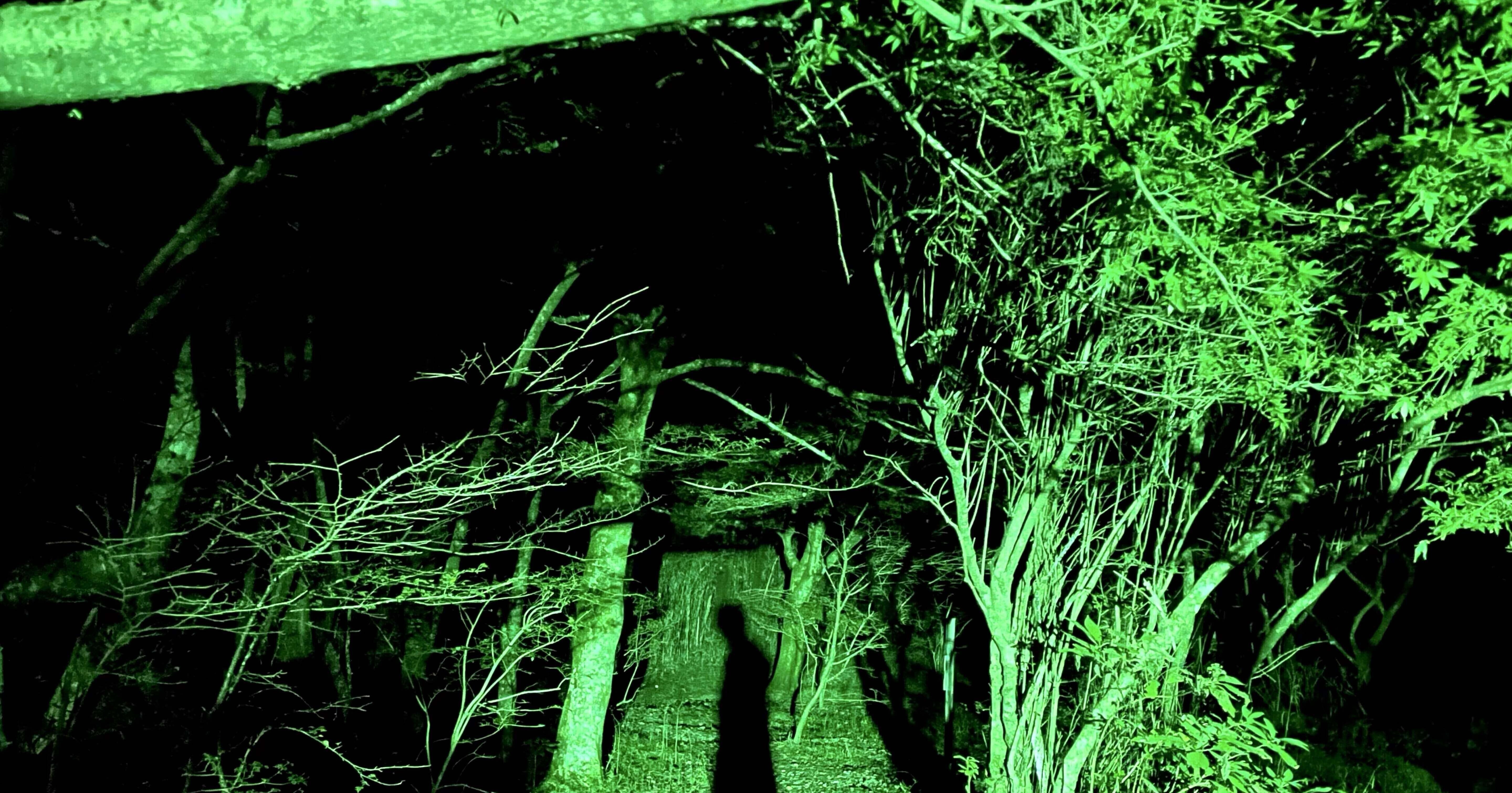 浅日翔太 / Asahi Shota｜note