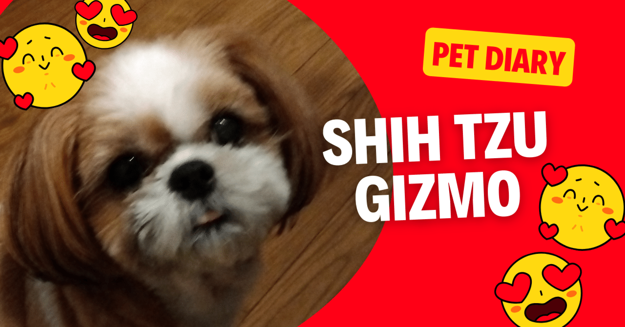 【通院記録】耳掃除と目薬の処方薬と皮膚炎の相談(R07/09/14)｜レラ・キャッスル【公式】｜マルチクリエイター