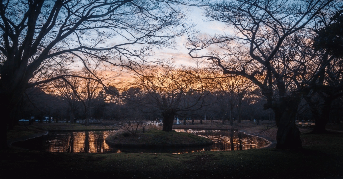 VRChat・Vtuber・Vsingerの活動を“未来に残す”――永遠写工房とは｜永遠写工房 Tukkun