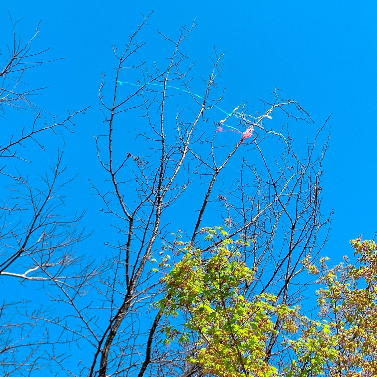 日なたぼっこ（フォト）｜swimmy_y