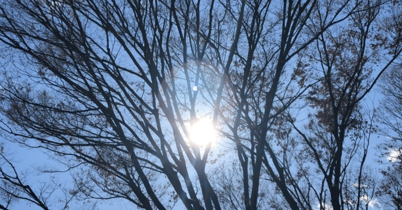 感受性｜Kohei Sasaki