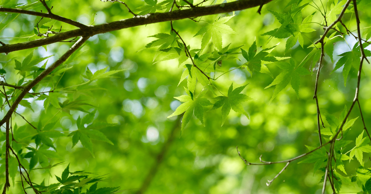 数学は諦めて文芸クリエーターで行くのだった。｜TAKEO YAMAMOTO