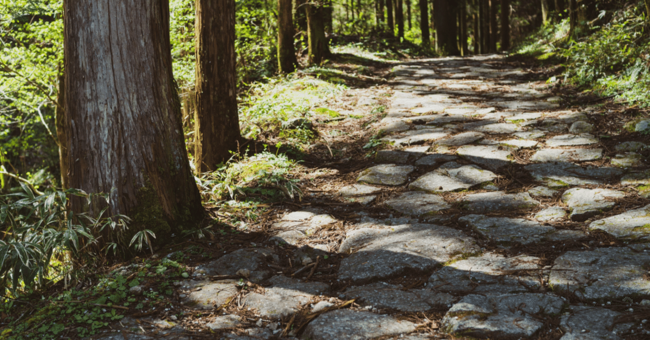 攻撃的である悲しさ｜Kohei Sasaki