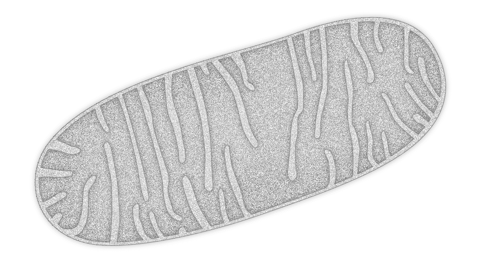 ミトコンドリア物語 - エネルギー｜續池均（kintsuzuike）@MTR Method Lab®︎｜note