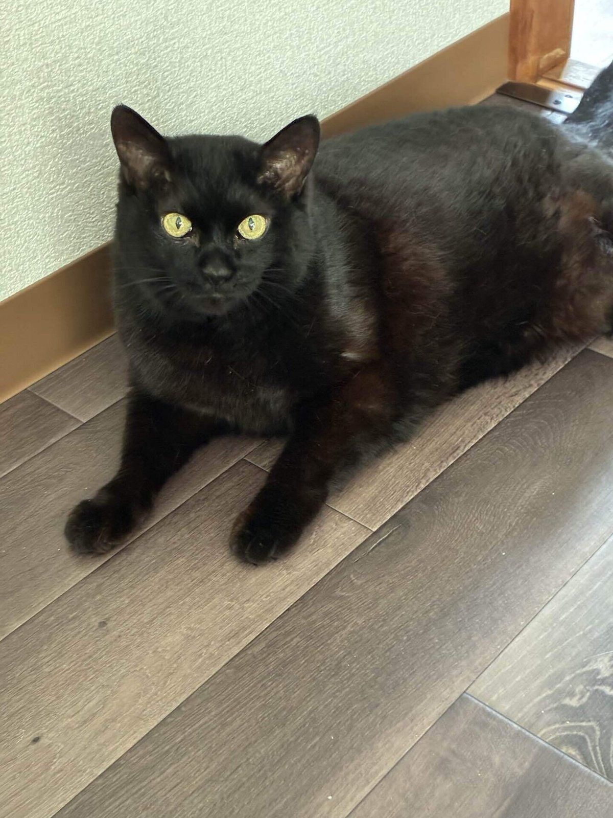 頬っぺたの内側を噛んだ件｜unitason