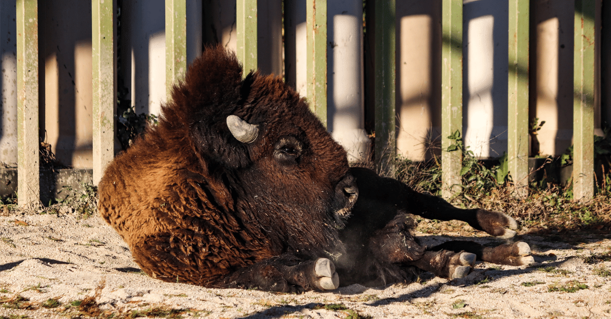 64-pythonでpyinstallerするけど、pyでプラグインする件｜hiraide,Kay