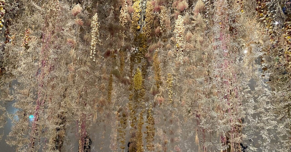 Flower展回想 サーチ・ギャラリー｜高見温| On Takami