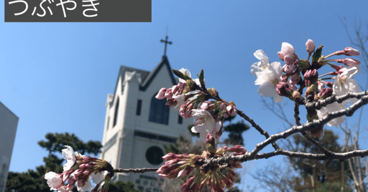 がんになった人が口を揃えて言うセリフ【大腸がん経験者のつぶやき】｜川口健太朗[大腸がんステージ3bサバイバー]