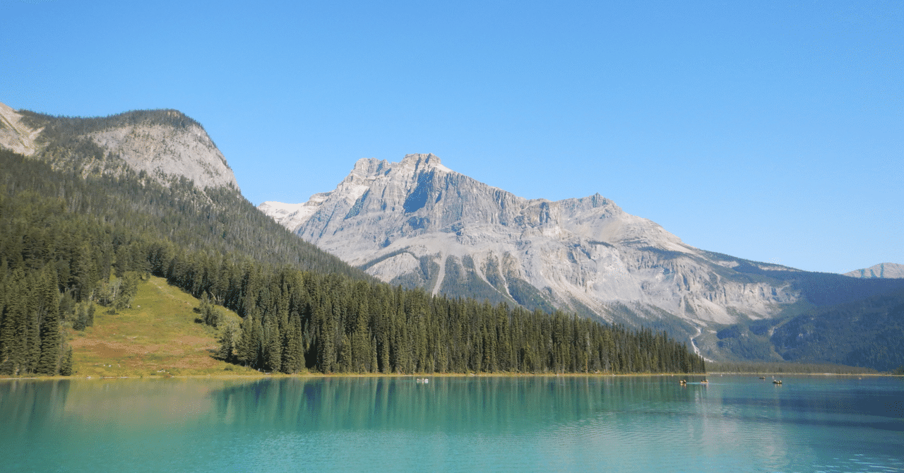 自己紹介（幼少期～高校）｜Shingo