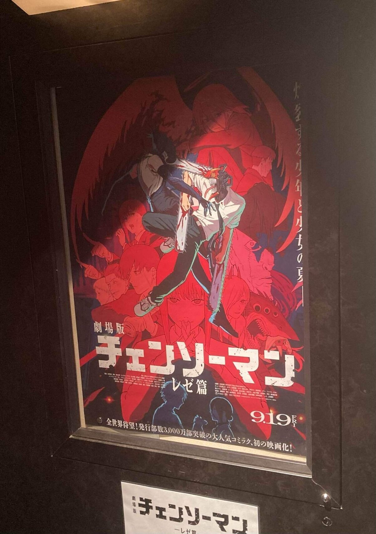 【雑記】 近況報告｜塔条美馬