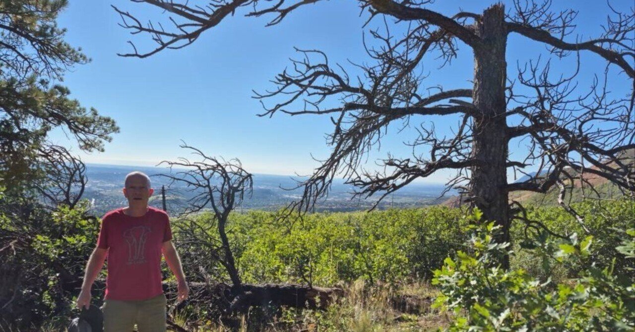 親の期待通りに生きる「イイ子」のココロ闇の深さ‼(^^♪｜Keiko Fry