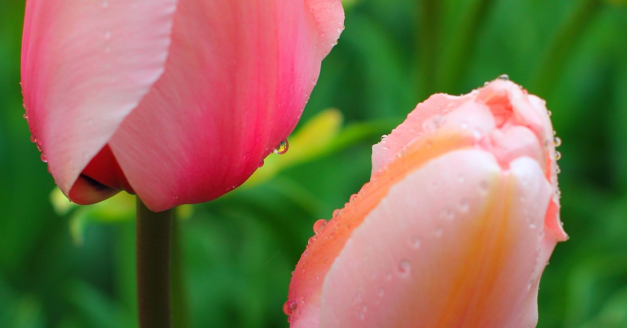 記録。｜sonoko｜note