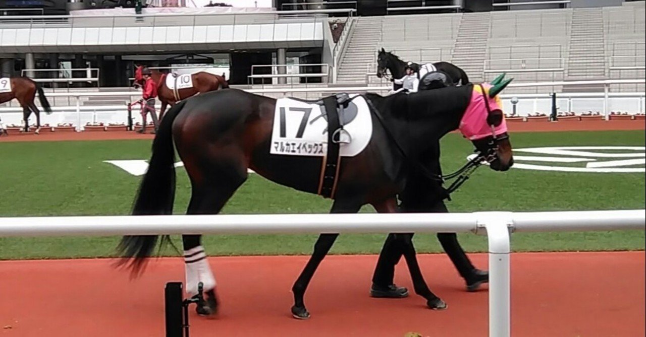 3/28（土） 阪神4R 1番人気馬｜JRDB 競馬アラカルト