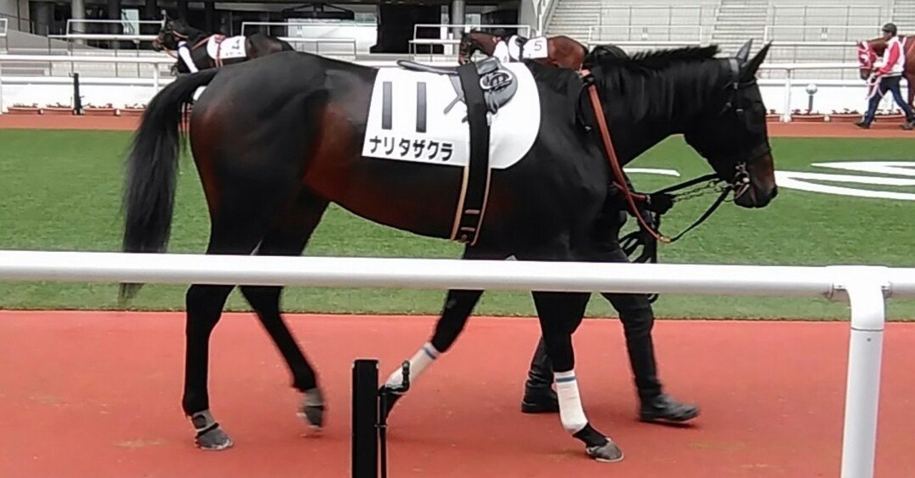 3/28（土） 阪神5R 1番人気馬｜JRDB 競馬アラカルト