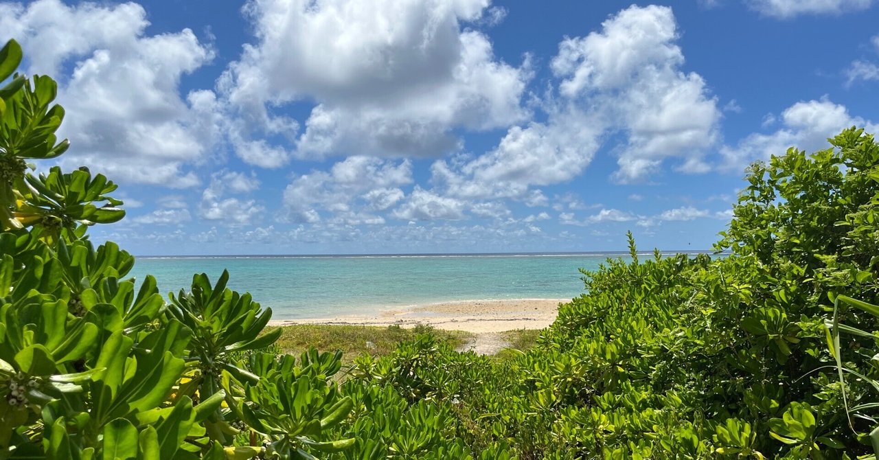 HSS型HSP 働くことへの強迫観念と公務員試験【仕事遍歴】｜やっこ｜HSS型HSPワーママ、自分らしい働き方を見つける旅