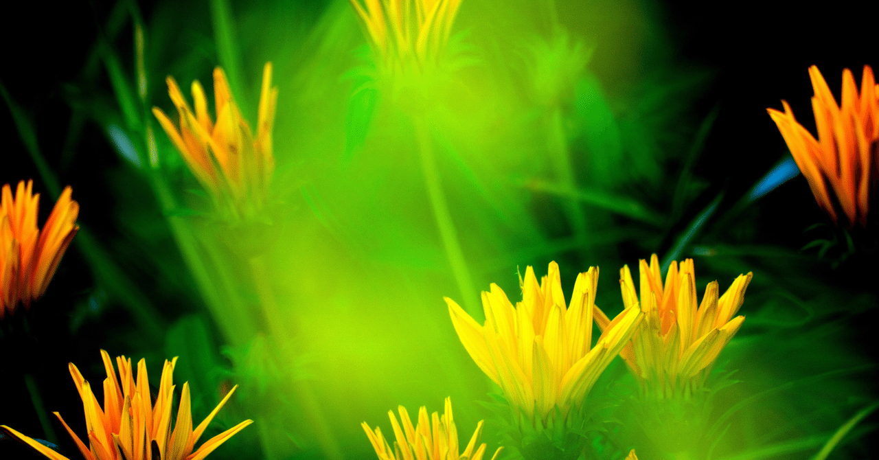 うれしいお知らせ＊0922｜真帆しおん＊Shion MAHO