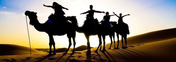 Chiaki Kamuki｜note