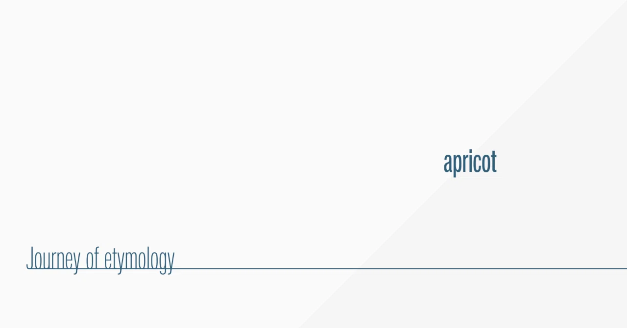 Journey of etymology: apricot｜FJK
