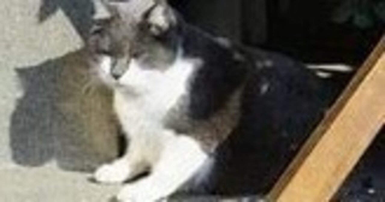 久方ぶりの怒り心頭｜TAKAYUKI＠kindle作家