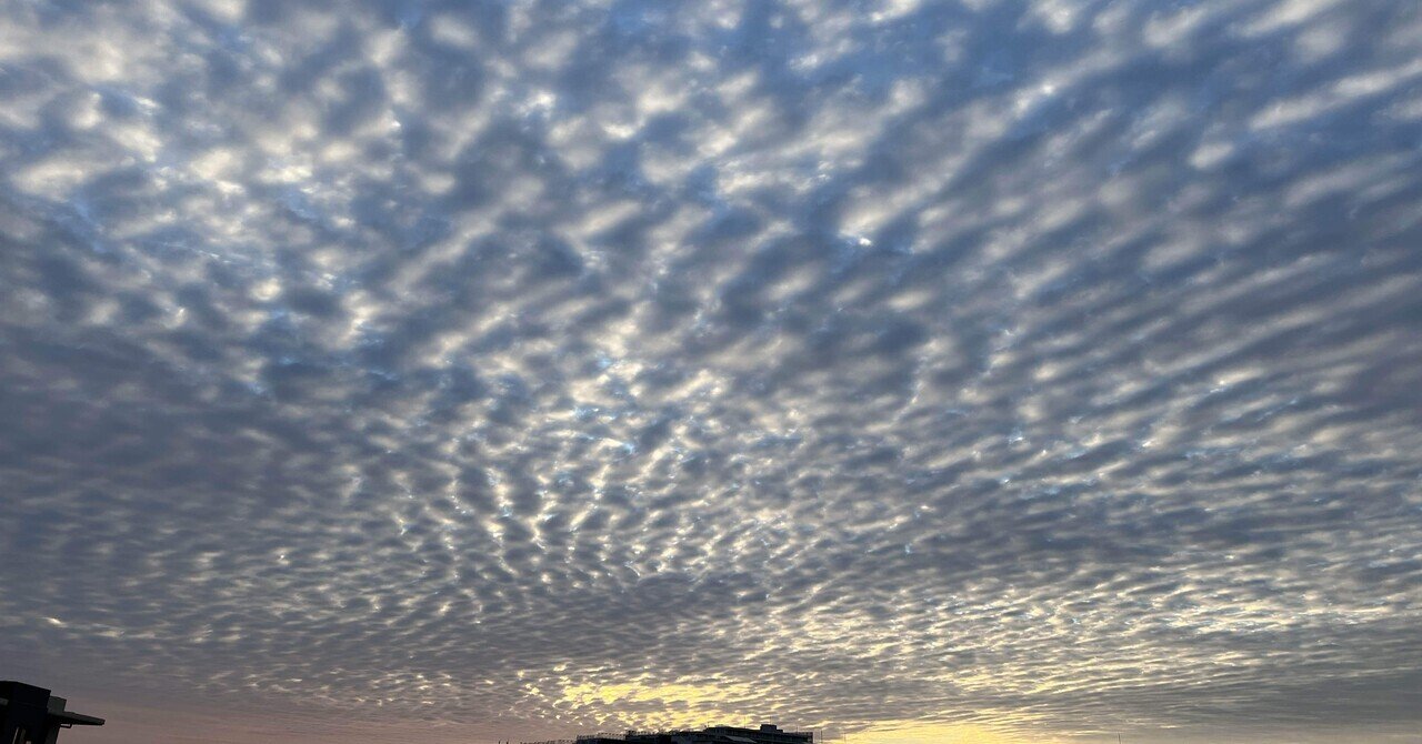 今日は秋分の日。｜Shoko＝Arka