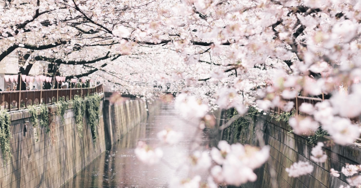 養老孟司が明かす日本語の秘密：世界で唯一の「悪魔の言葉」の真実｜エスアール・タガワ・NOTE