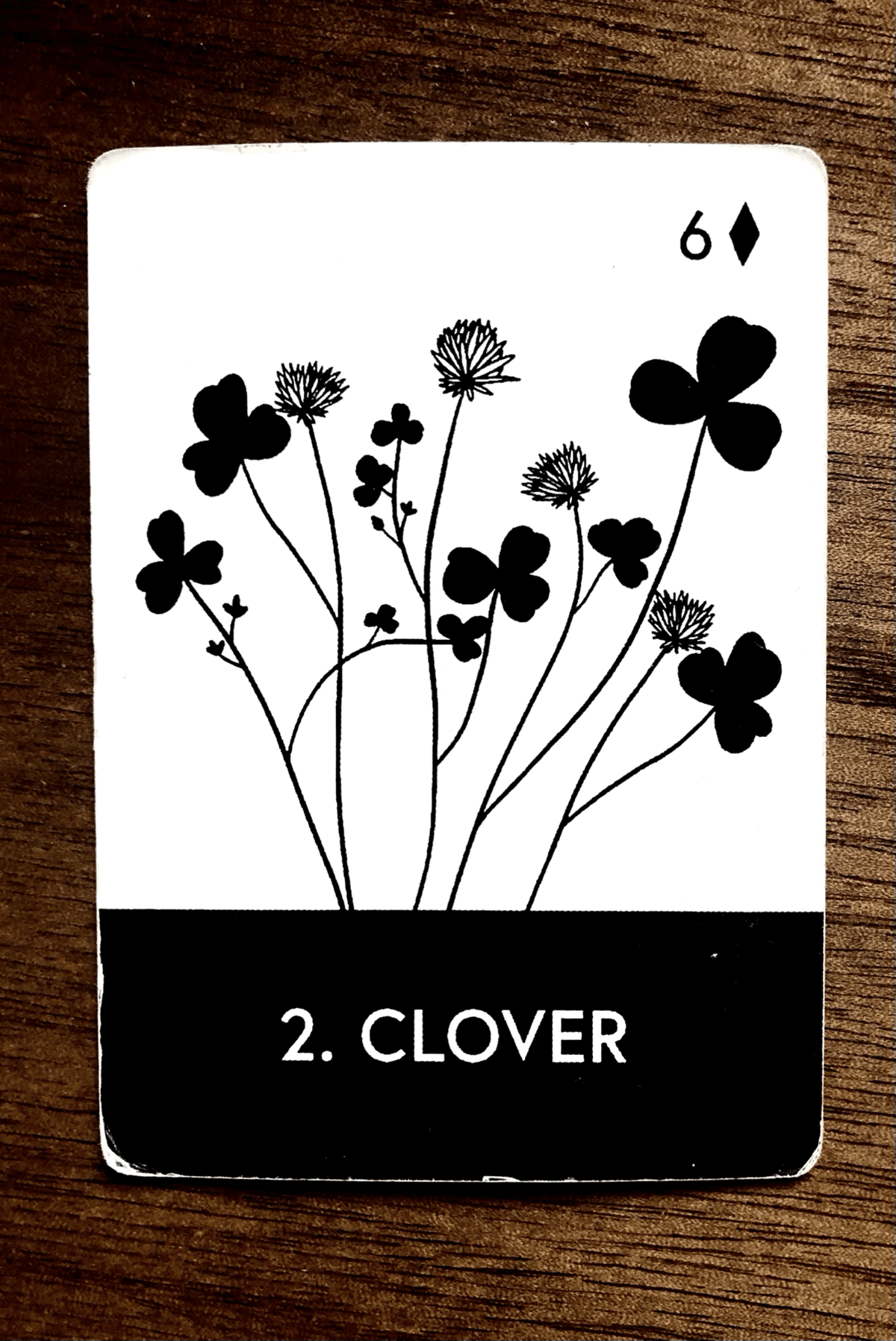 あなたに伝えたいメッセージ 6｜riho.b