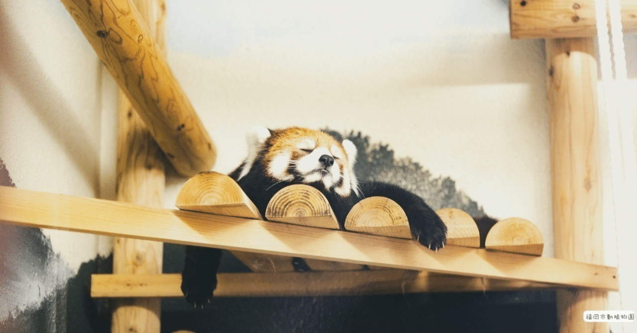 【XAI】DeepSHAPの評価方法？SHAPとの違い｜note AIニュース