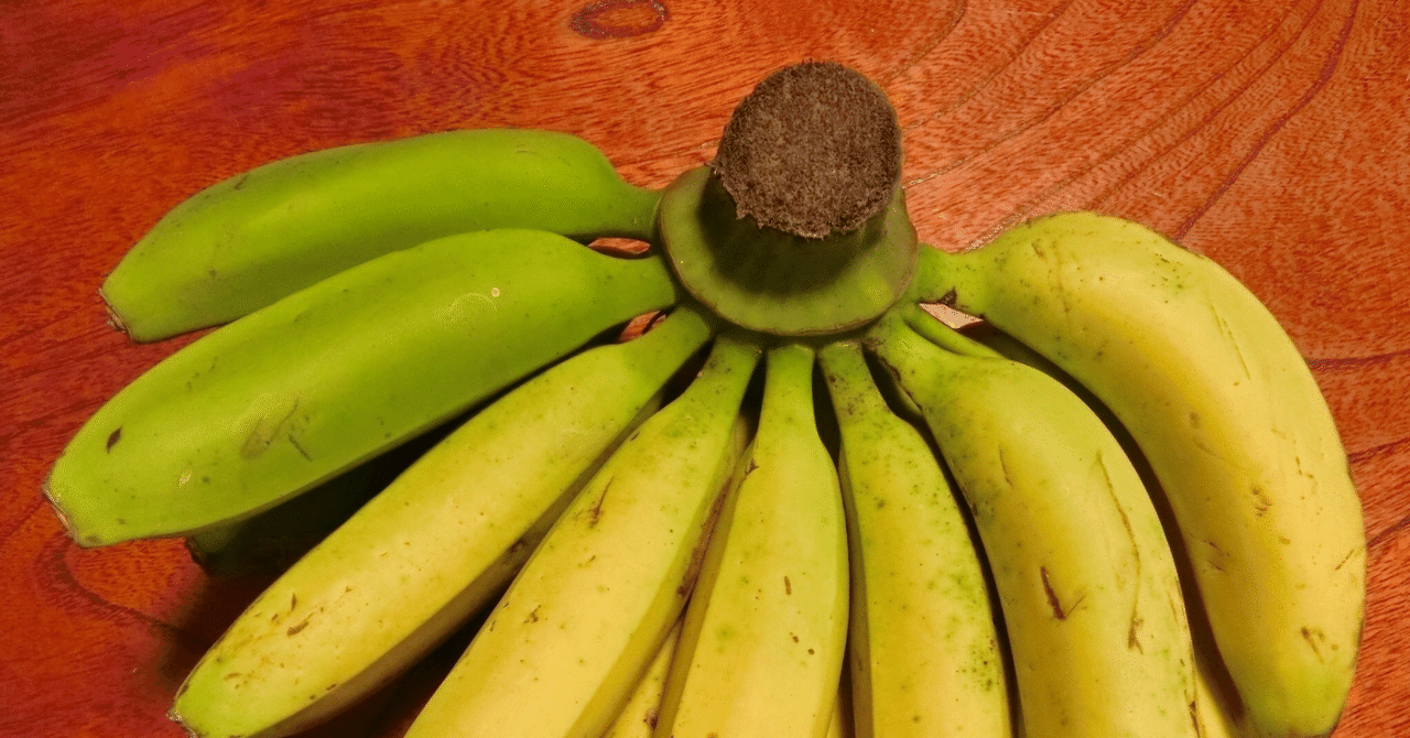 nano-banana凄いって盛り上がってたばっかりなのにもう最新ツールが現れた？｜taira-r