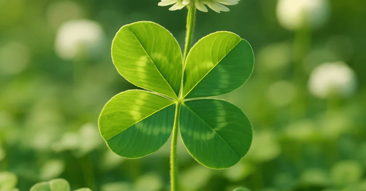 朝は来る｜_miya_story_