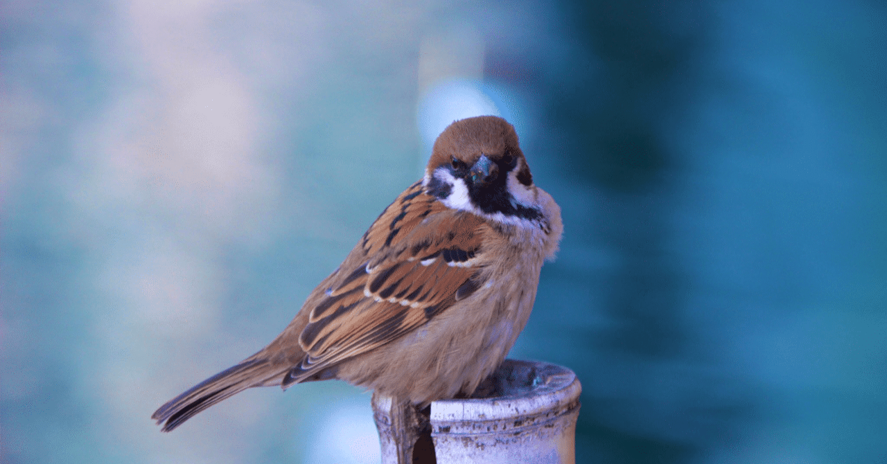 【AI基礎】word2vec：NegativeSampling？目的・特徴｜note AIニュース