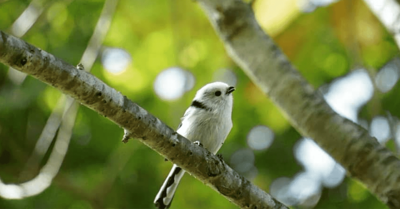 【AI基礎】Word2VecとRNNの関係。課題と改善｜note AIニュース