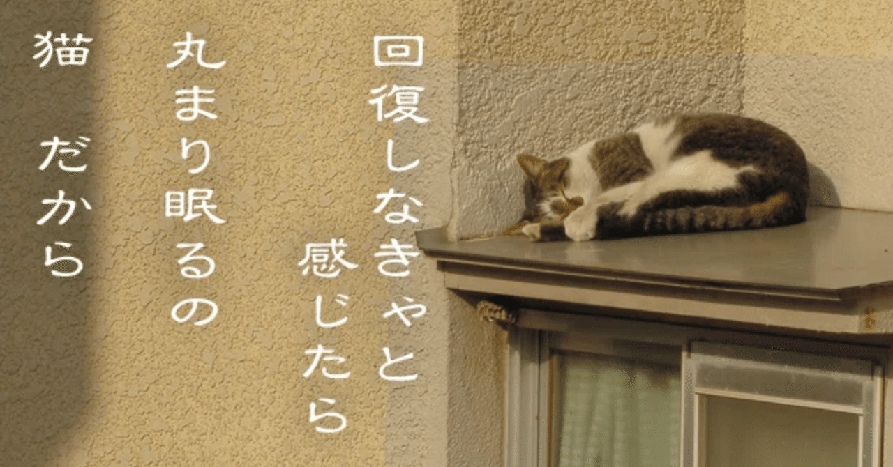 胃腸の調子と体調｜unitason