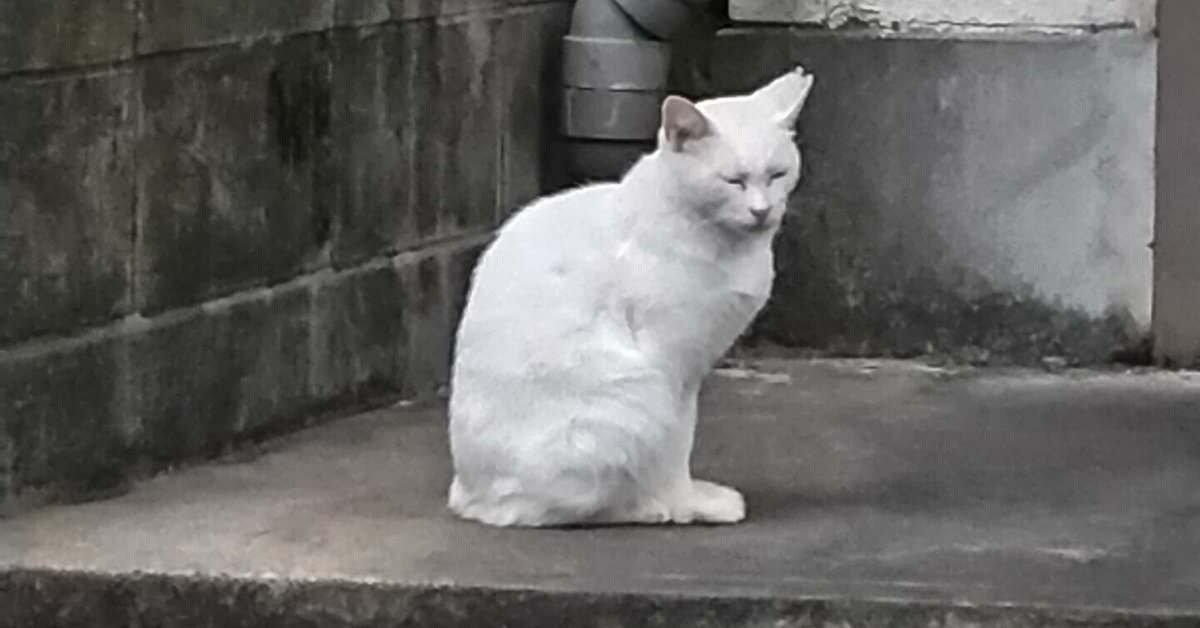 現在の私｜su_nosuke