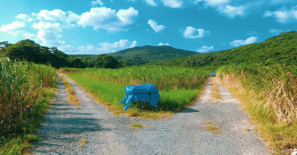 肩書きなんてないけれど、それでも誇れる私の人生｜ゆるり｜MindPalette