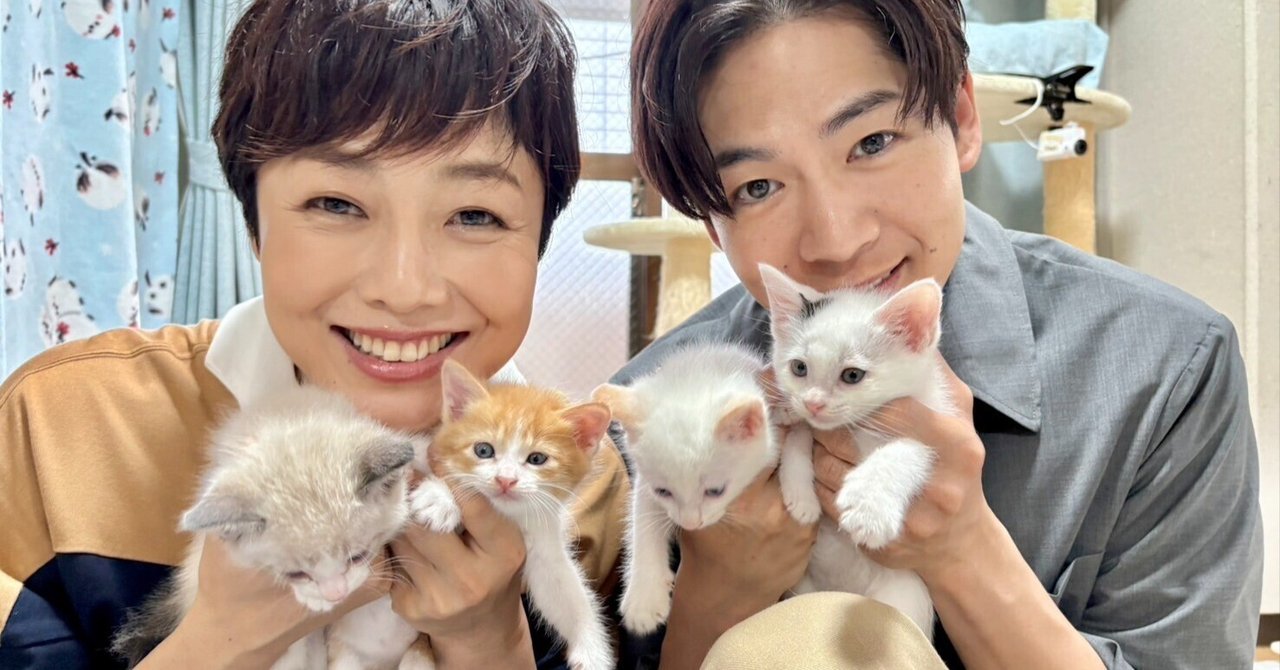 𓃠DayDay.𓃠｜naho-21