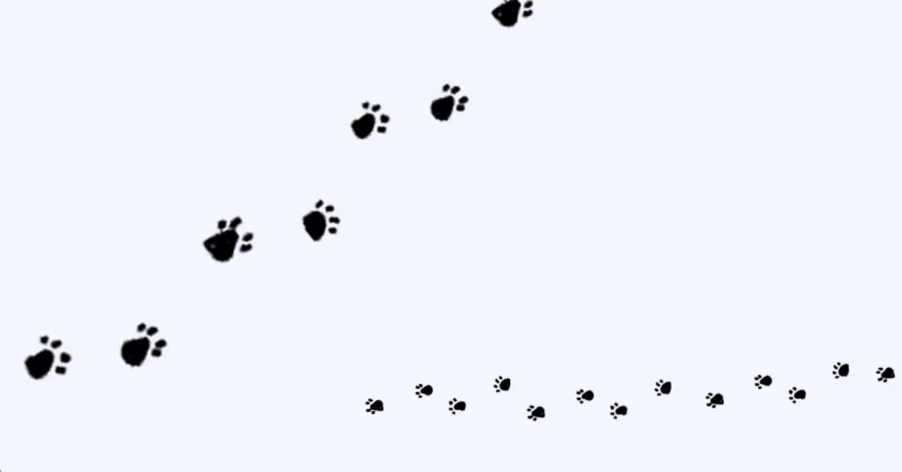 動物病院、大きな一歩｜咲.Saku(25)