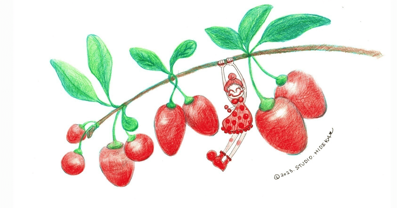 他人の目｜miyako＠50歳からの「考える生活」