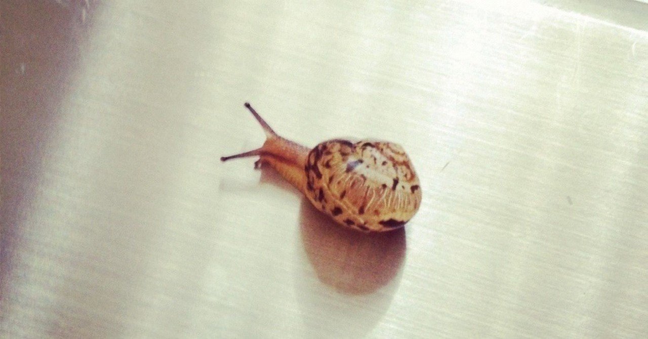 ブランドは、希少性だ！｜野呂エイシロウ Noro Eishiro