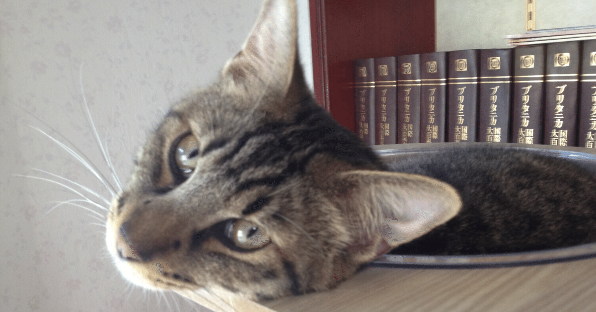 私の「モーツァルト」へ至る長い道のり｜Moosan