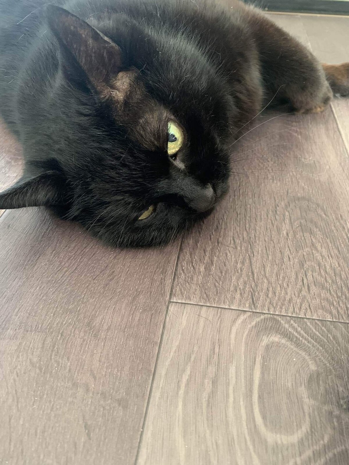 PS5のコントローラーが壊れた件｜unitason