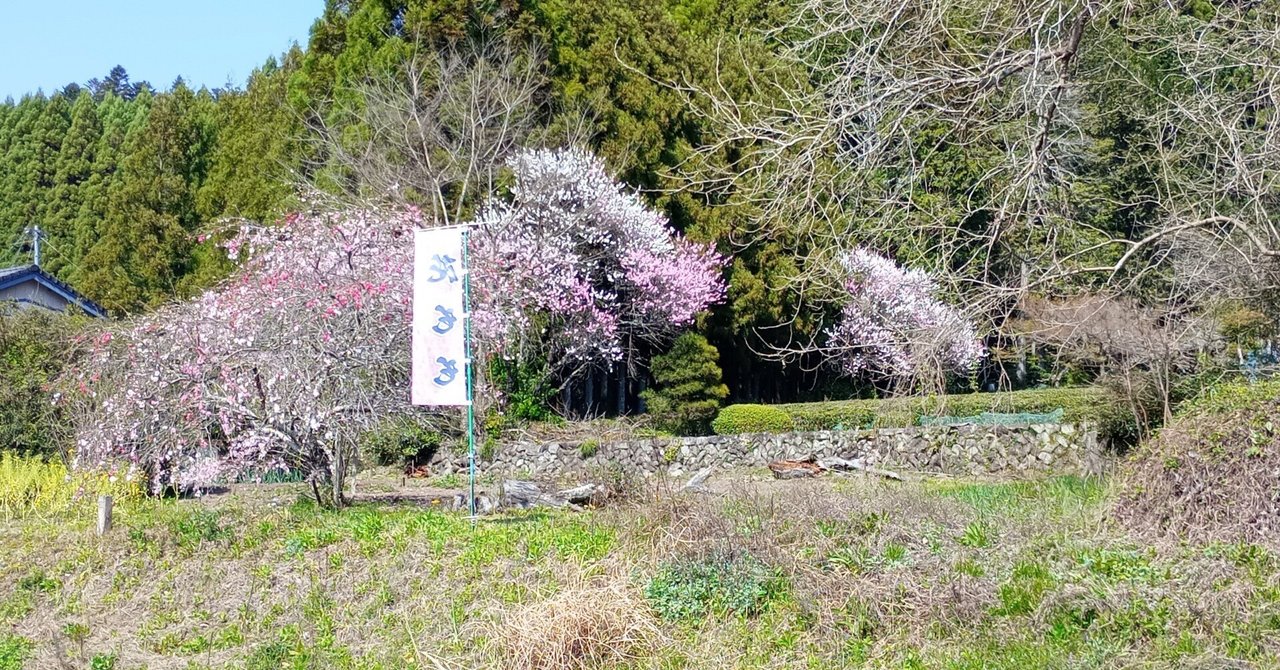 【備忘録】Raspberry Pi に Mosquitto MQTT Brokerをインストール｜刃金からくり屋