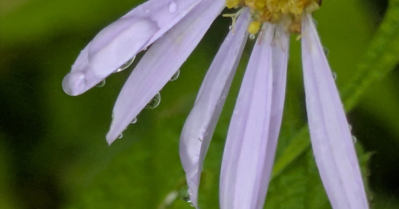 2025/09/29〜今日の気付き｜ichiro70