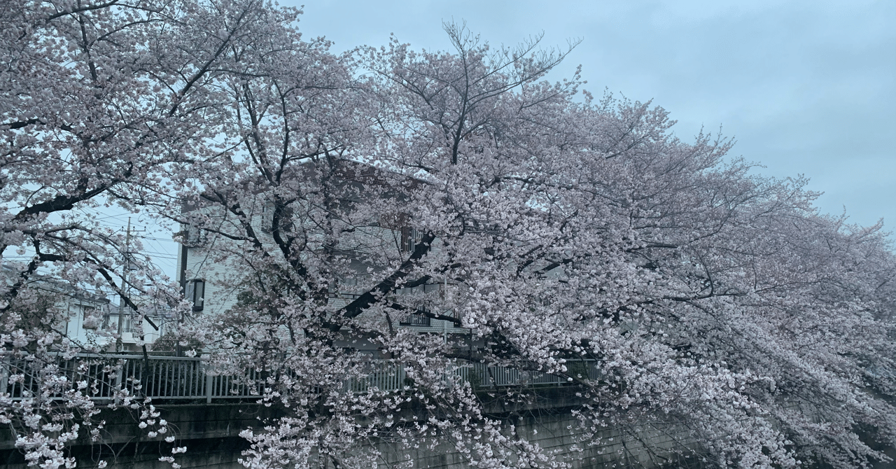 2020年3月30日｜marie.iguchi